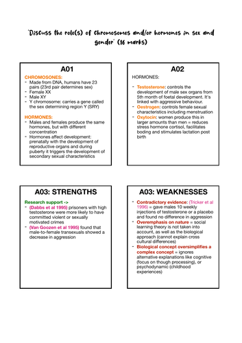 A LEVEL PSYCHOLOGY - GENDER 16 MARK ESSAY PLANS (AQA) | Teaching Resources