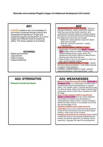 A LEVEL PSYCHOLOGY - COGNITION + DEVELOPMENT 16 MARK ESSAY PLANS (AQA ...
