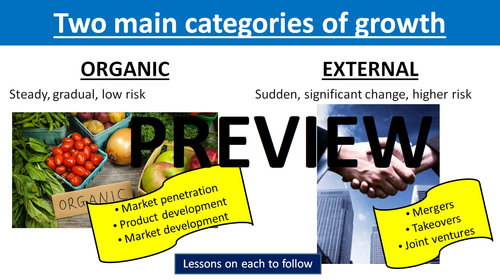 3.9.1 Assessing a change in scale (organic and external growth) - AQA A ...