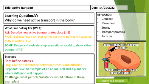 AQA B1 Cell Biology whole unit powerpoints | Teaching Resources