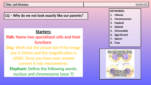 AQA B1 Cell Biology whole unit powerpoints | Teaching Resources