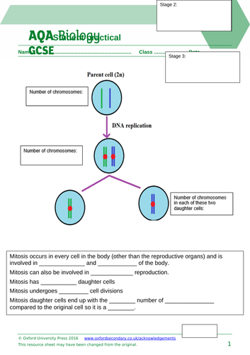 AQA B1 Cell Biology whole unit powerpoints | Teaching Resources