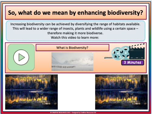 Climate Resilience and biodiversity | Teaching Resources