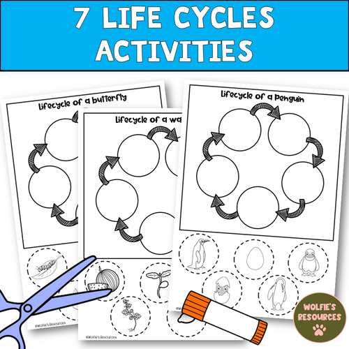 50 Science Worksheets Year 1 and EYFS | Teaching Resources