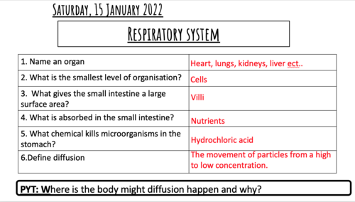 KS3 Respiratory system and gas exchange | Teaching Resources