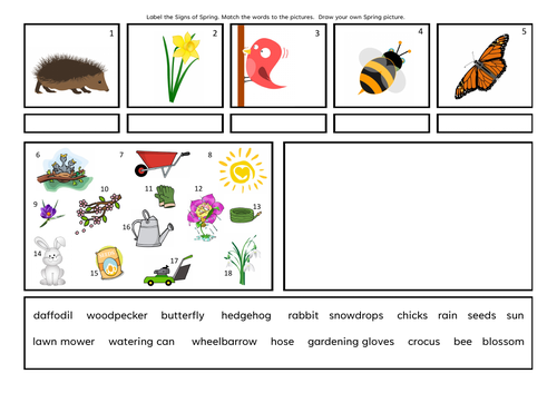 Signs of Spring Activity Sheets | Teaching Resources
