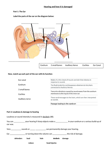 Complete lesson, KS3 physics, sound and hearing. | Teaching Resources