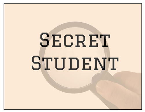 Secret Student Display Poster Neutral and Guidance | Teaching Resources