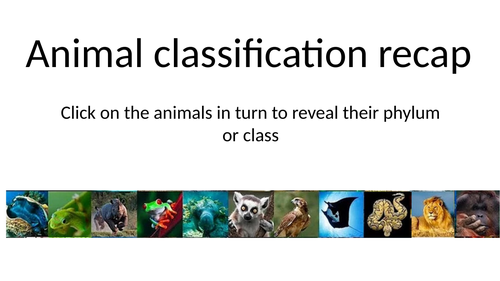 Animal classification recap | Teaching Resources