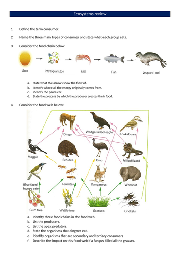 Ecosystems review | Teaching Resources