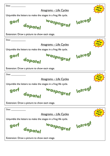 Science Anagrams - Recall Starter Activities Years 1-6 | Teaching Resources