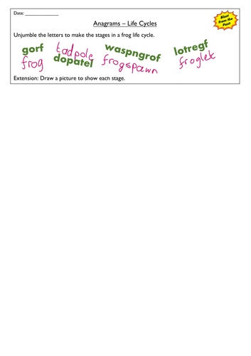 Science Anagrams - Recall Starter Activities Years 1-6 | Teaching Resources