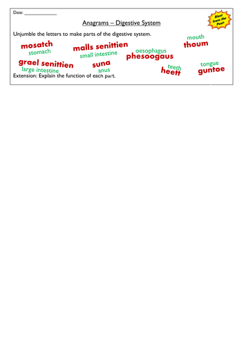 Science Anagrams - Recall Starter Activities Years 1-6 | Teaching Resources