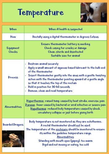 Animal Care: Temperature Flashcard | Teaching Resources