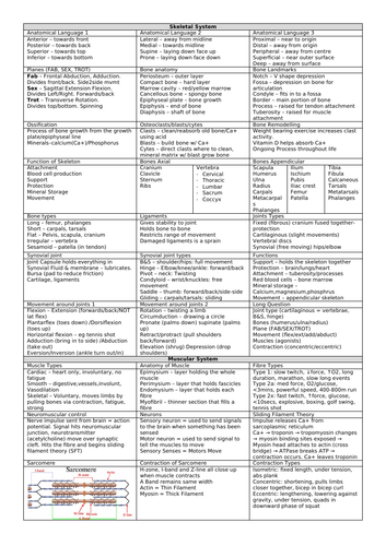 Unit 2 Functional Anatomy - Sport and Exercise Science CHEATSHEET ...