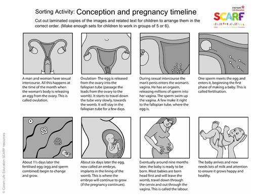 Sex & Relationship Education (SRE) lessons | Teaching Resources