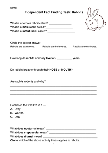 Animal Care: Rabbit Fact Finding | Teaching Resources