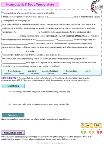 GCSE Biology Worksheet Thermoregulation | Teaching Resources