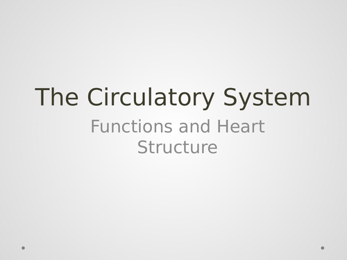 Circulatory System GCSE PE | Teaching Resources
