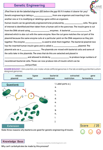 GCSE Biology Worksheet Genetic Engineering | Teaching Resources