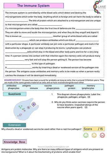 Gcse Biology Worksheet Immune System Teaching Resources