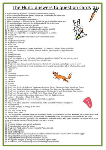 The Hunt (Ecology Board Game) | Teaching Resources