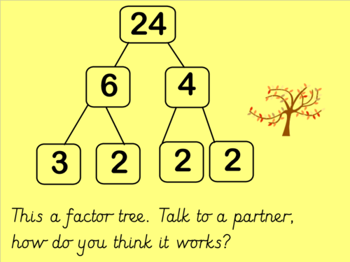 Factor Trees | Teaching Resources