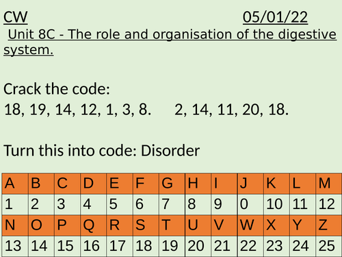 Role and organisation of the digestive system Assignment 8C BTEC ...