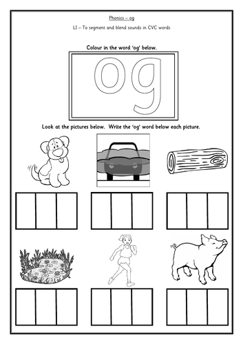 Medial 'o' 'u' Vowel Spellings and Phonics Worksheets - ob, og, ot, ug ...