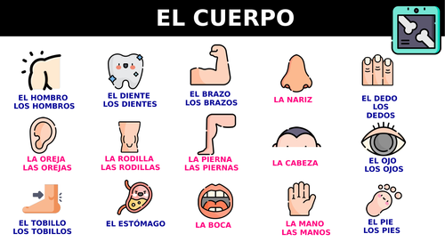 El cuerpo - Body parts (Conti Style) | Teaching Resources