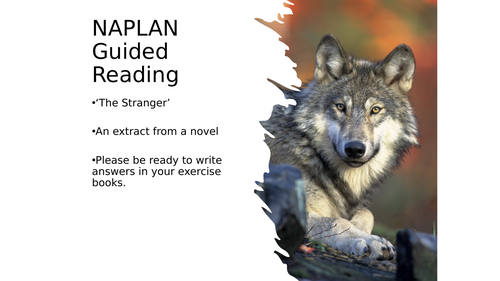 NAPLAN Preparation: Guided Reading for The Call of the Wild | Teaching ...