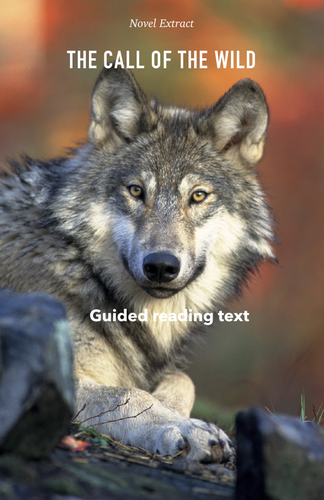 NAPLAN Preparation: Text Handout and Worksheets for The Call of the ...