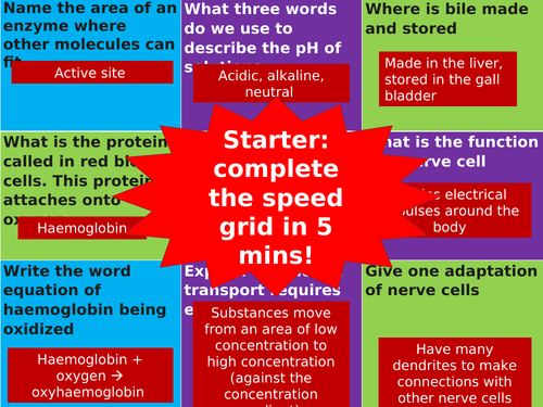 AQA GCSE The Blood Vessels KS4 | Teaching Resources