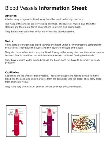 AQA GCSE The Blood Vessels KS4 | Teaching Resources