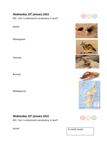 Meerkat mail reading comprehension worksheets | Teaching Resources