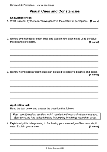 AQA GCSE Psychology - Visual cues and constancies (Perception Lesson 2 ...
