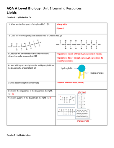 Lipids Learning Resources | Teaching Resources