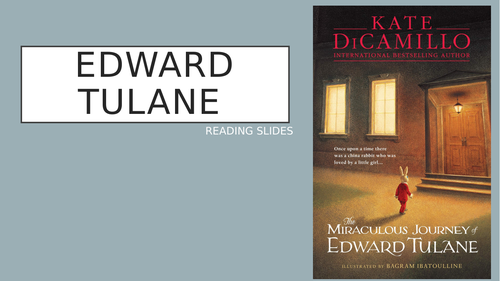 Edward Tulane - Year 4 Whole Class Reading - 7 Weeks | Teaching Resources