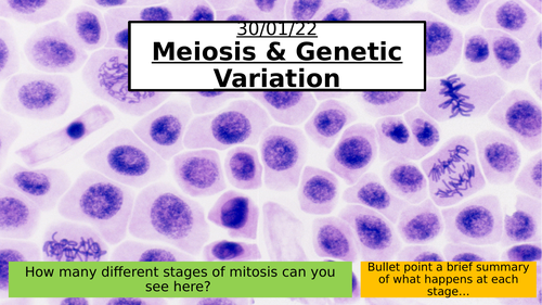 9.2 - Meiosis & Genetic Variation | Teaching Resources