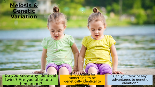 AQA Genetic Diversity - BUNDLE | Teaching Resources