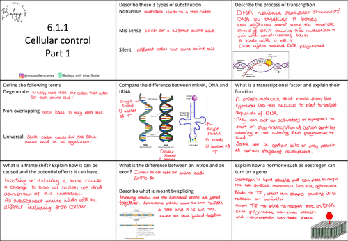 6.1.1 Cellular control revision grid OCR A level biology | Teaching ...