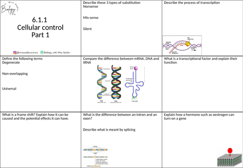 6.1.1 Cellular control revision grid OCR A level biology | Teaching ...
