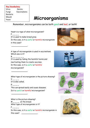 Microorganisms Lesson 1 - Year 6 | Teaching Resources
