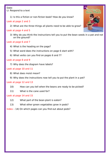 Purple Band Guided Reading Questions | Teaching Resources