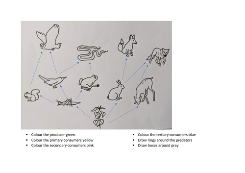 B7 Ecology, adaptations and food webs colouring by numbers | Teaching ...