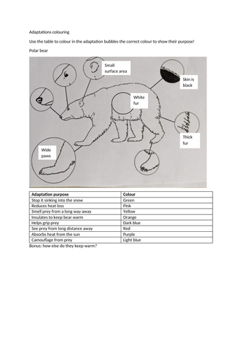 B7 Ecology, adaptations and food webs colouring by numbers | Teaching ...
