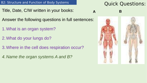 Year 7 - Activate - Structures and Functions of Body Systems | Teaching ...
