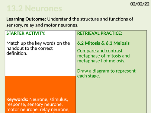 OCR Biology A- Chapter 13 Neuronal Communication | Teaching Resources