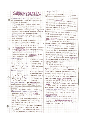 A-level Biology Notes - Molecules | Teaching Resources
