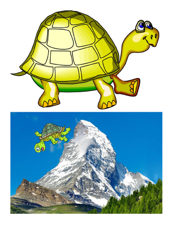 How the Tortoise got its Shell- Full T4W Unit with Resources- Year 2 ...